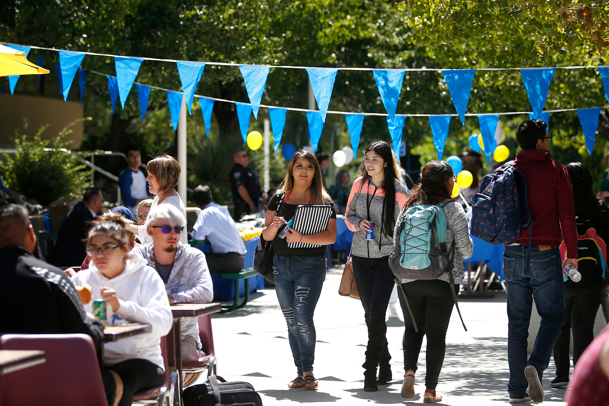 University and College Transfer Support | Transfer NV